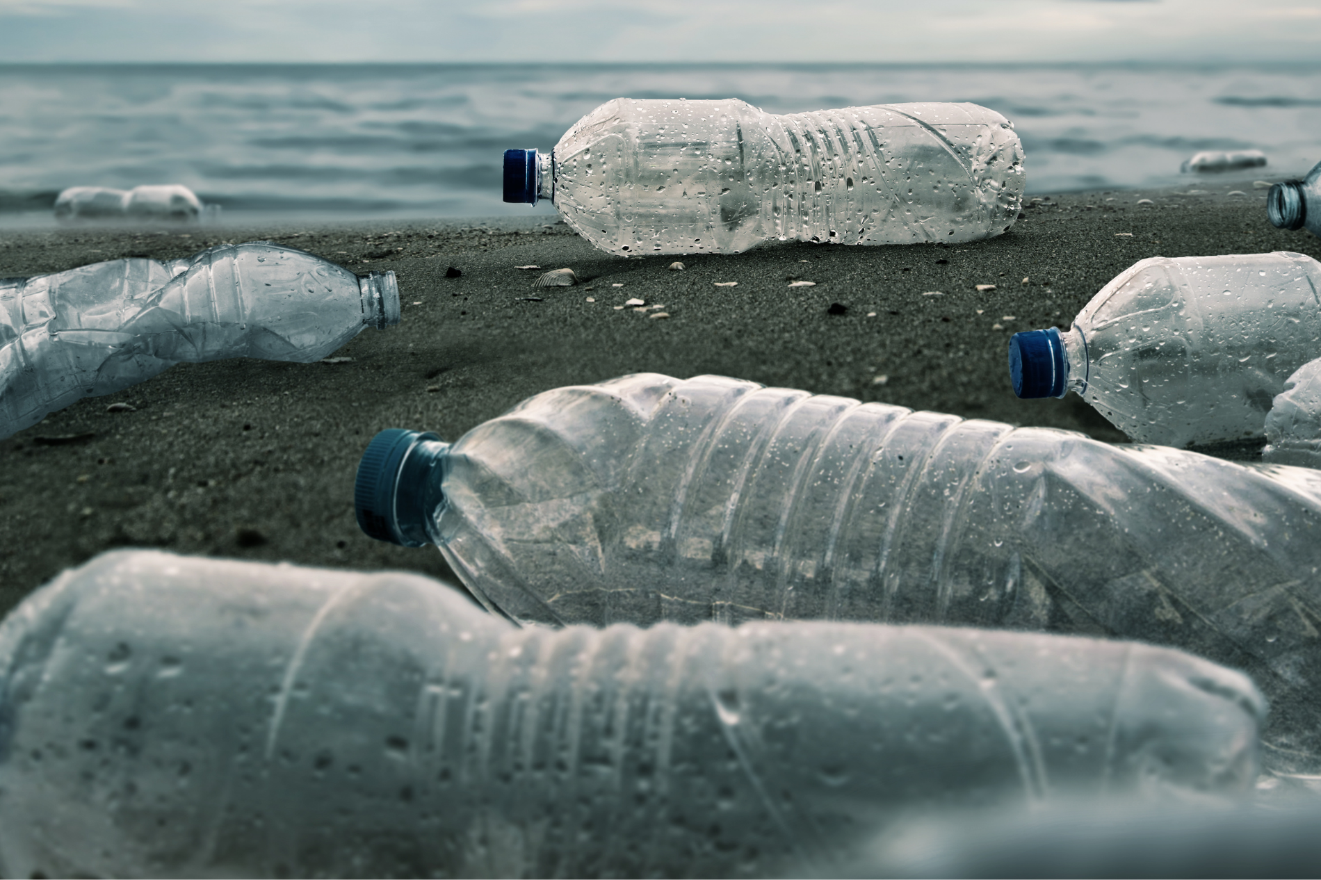 You're ingesting plastic. whether you avoid it or not. 3 things you ne ...